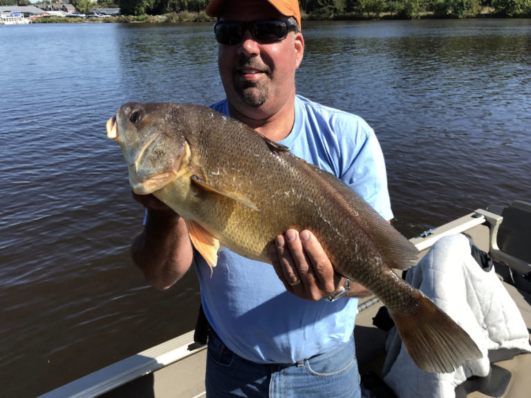 Sheephead 2019 a | Fishing With Captain Kirk LLC
